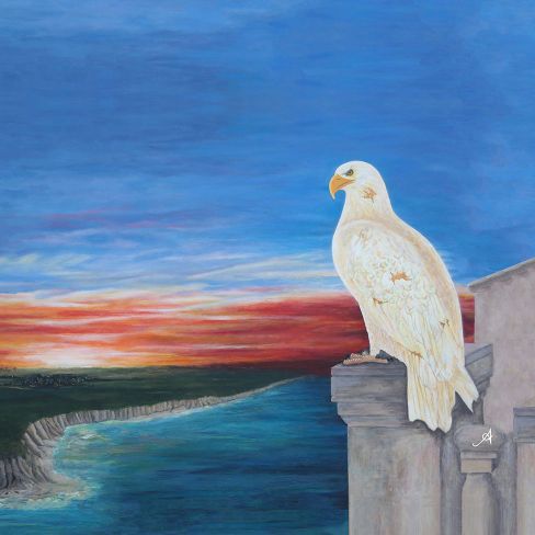 SHOP OVERVIEW – Amanya Design